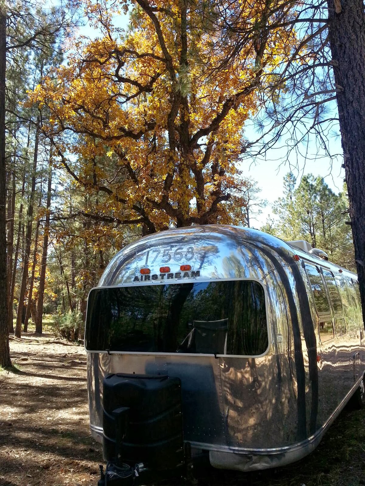 Airstream Renovation: Airstream Rock Guard